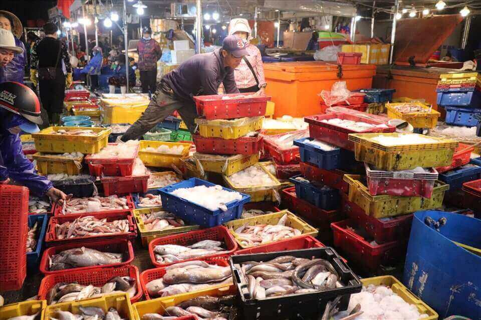 10+ seafood markets in Da Nang FRESH DELICIOUS + CHEAPEST PRICES